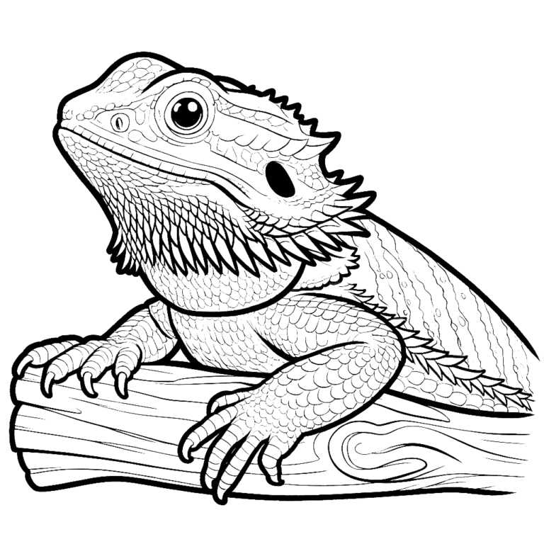 Bearded Dragon Coloring Pages 38 - Coloring Pages Gem