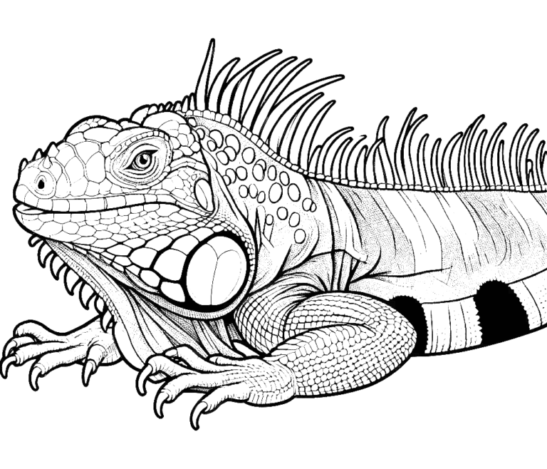 Iguana Coloring Pages - Coloring Pages Gem