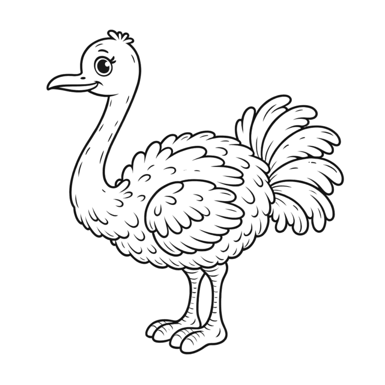cute ostrich coloring page | Coloring Pages Gem